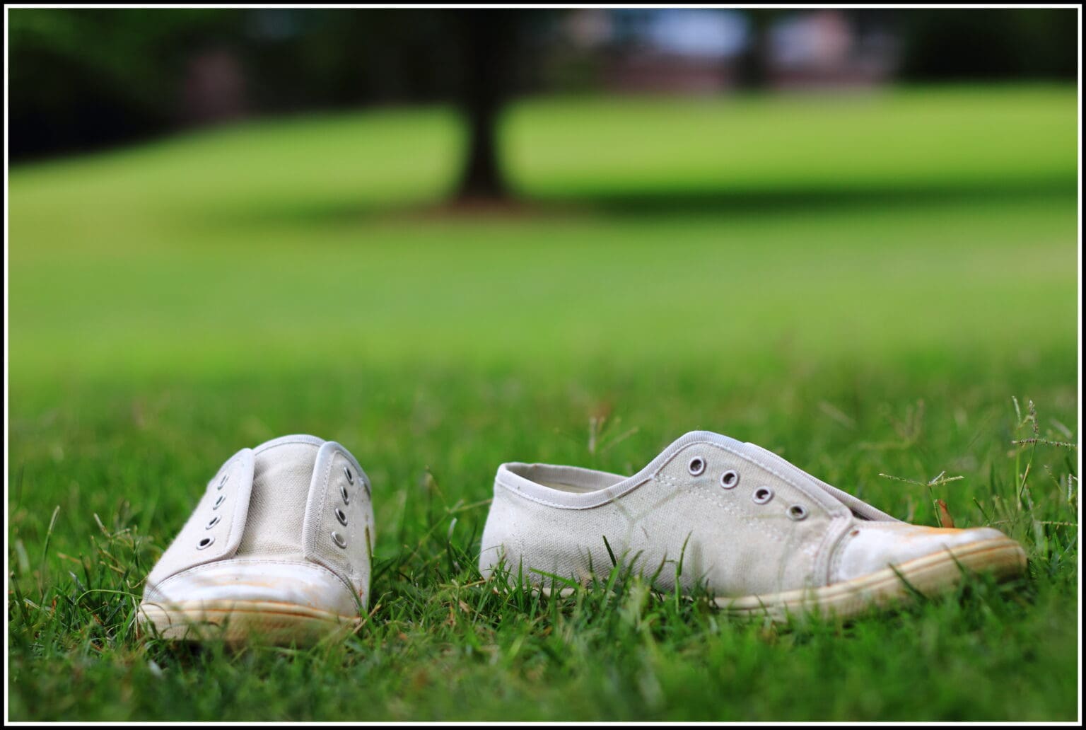 "Rural Grown" by James Croal Jackson - The Metaworker Literary Magazine