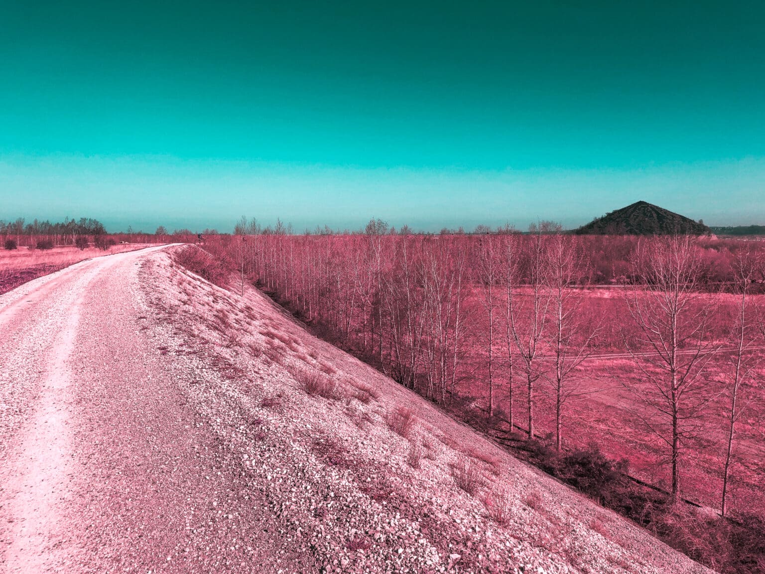 Mars Sunglasses by James Reade Venable - The Metaworker Literary Magazine