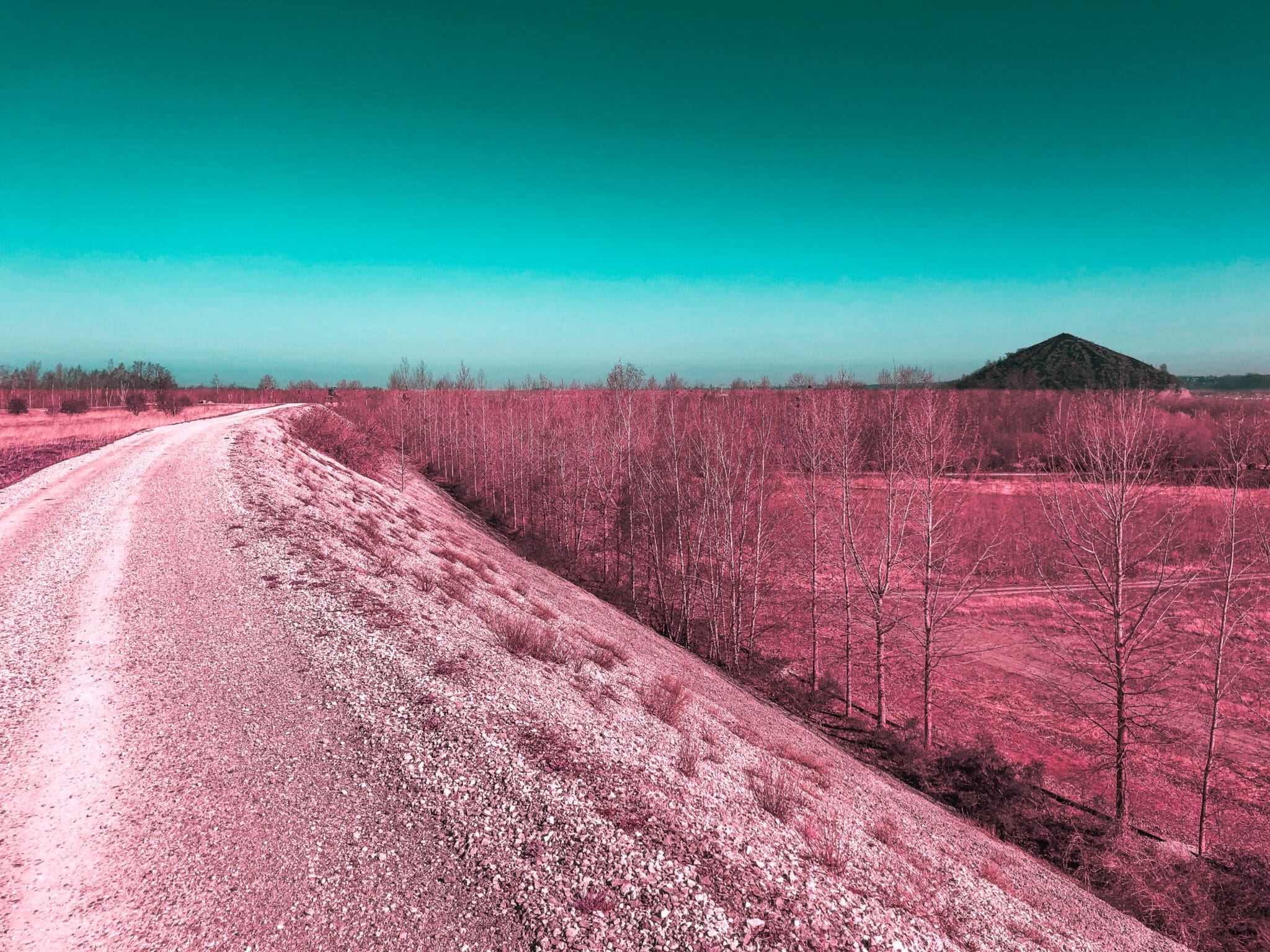 Mars Sunglasses by James Reade Venable - The Metaworker Literary Magazine